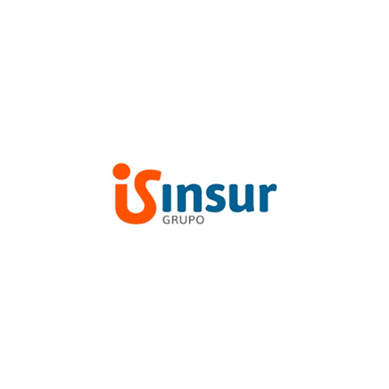 Web | Grupo Insur